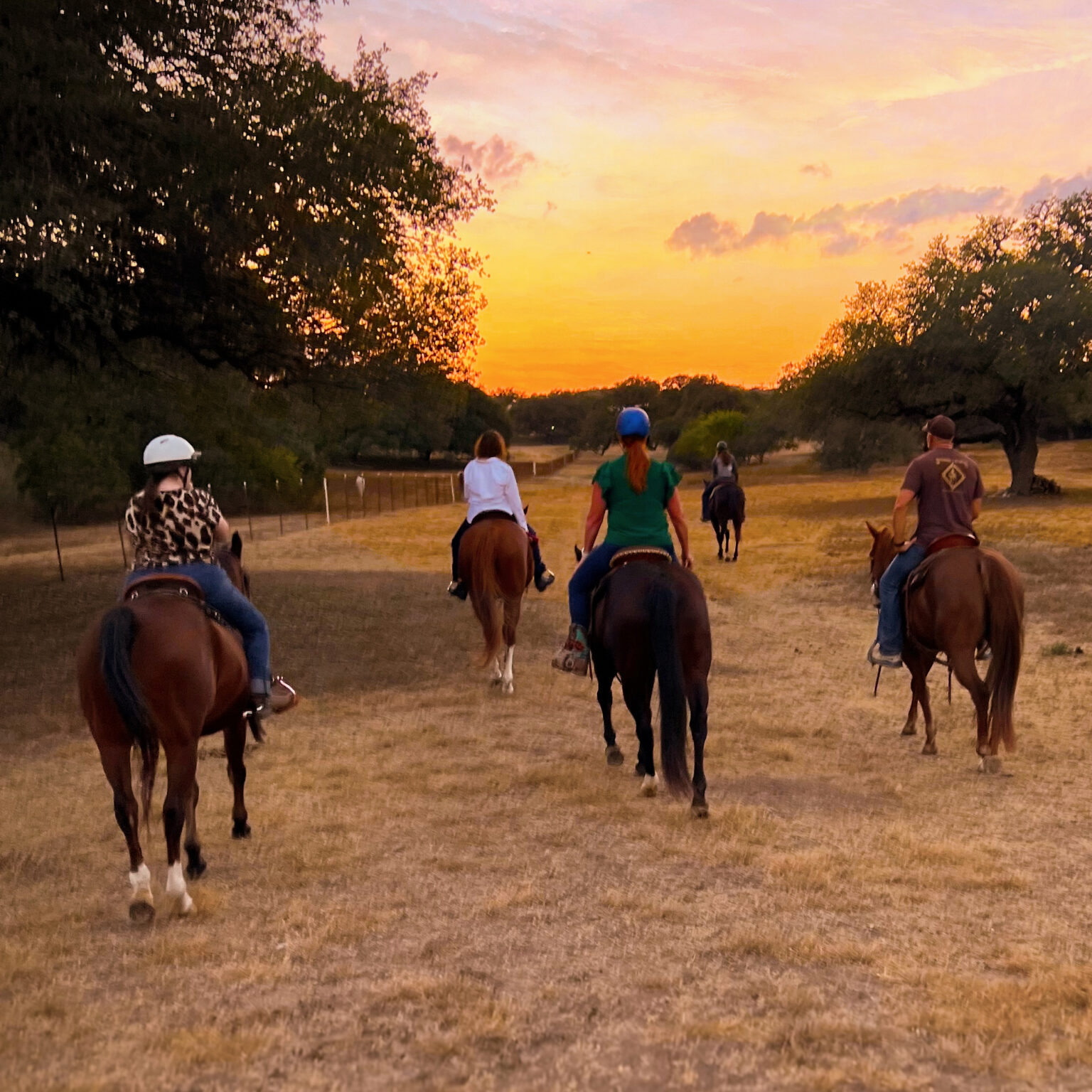 Diamond C Stables & Ranch